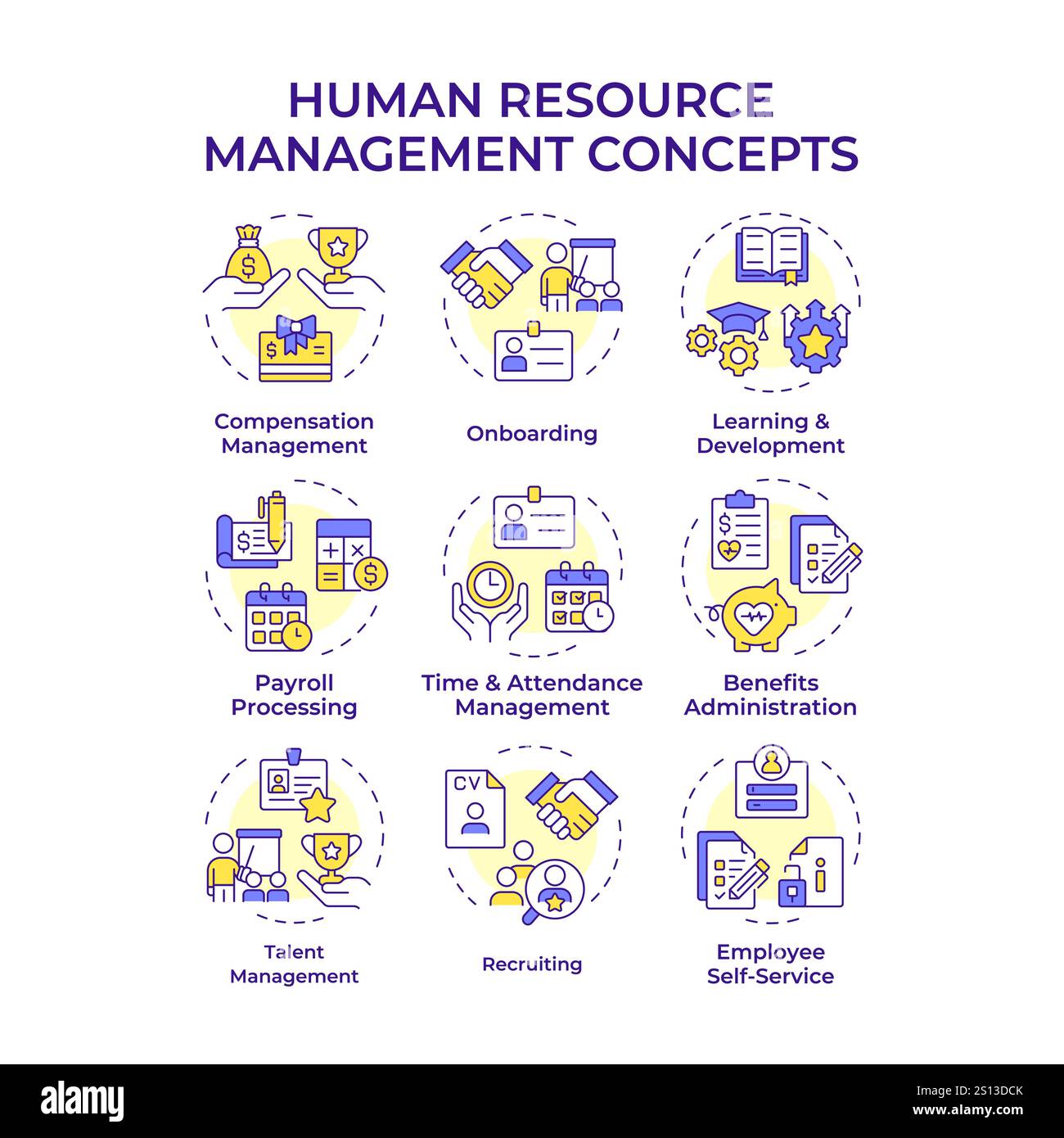 HRIS multi color concept icon Stock Vector Image & Art - Alamy