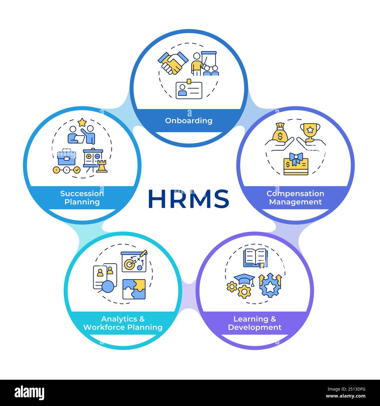 HRMS infographic circles flowchart Stock Vector Image & Art - Alamy