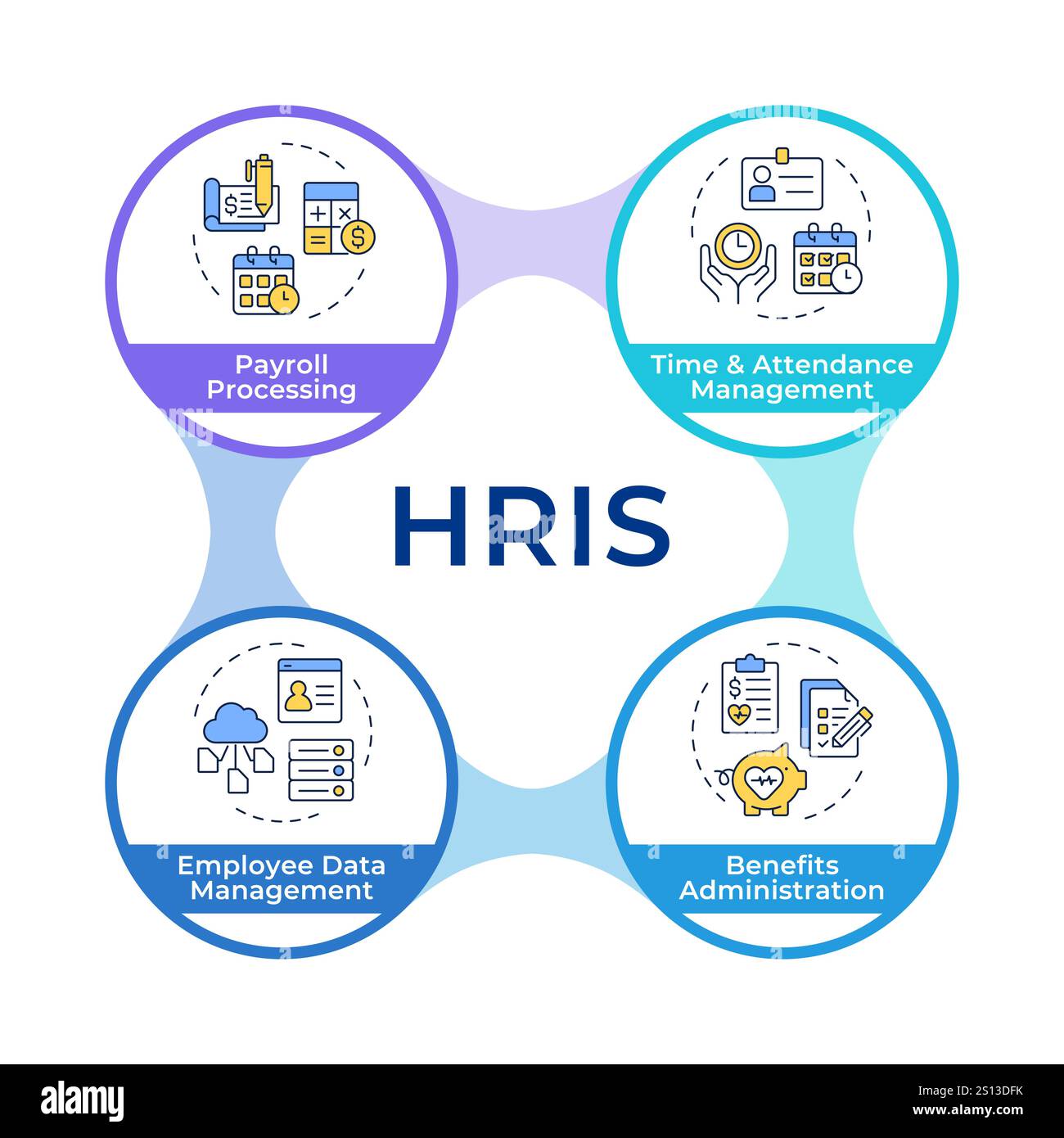 Hris Infographic Circles Flowchart Stock Vector Image And Art Alamy