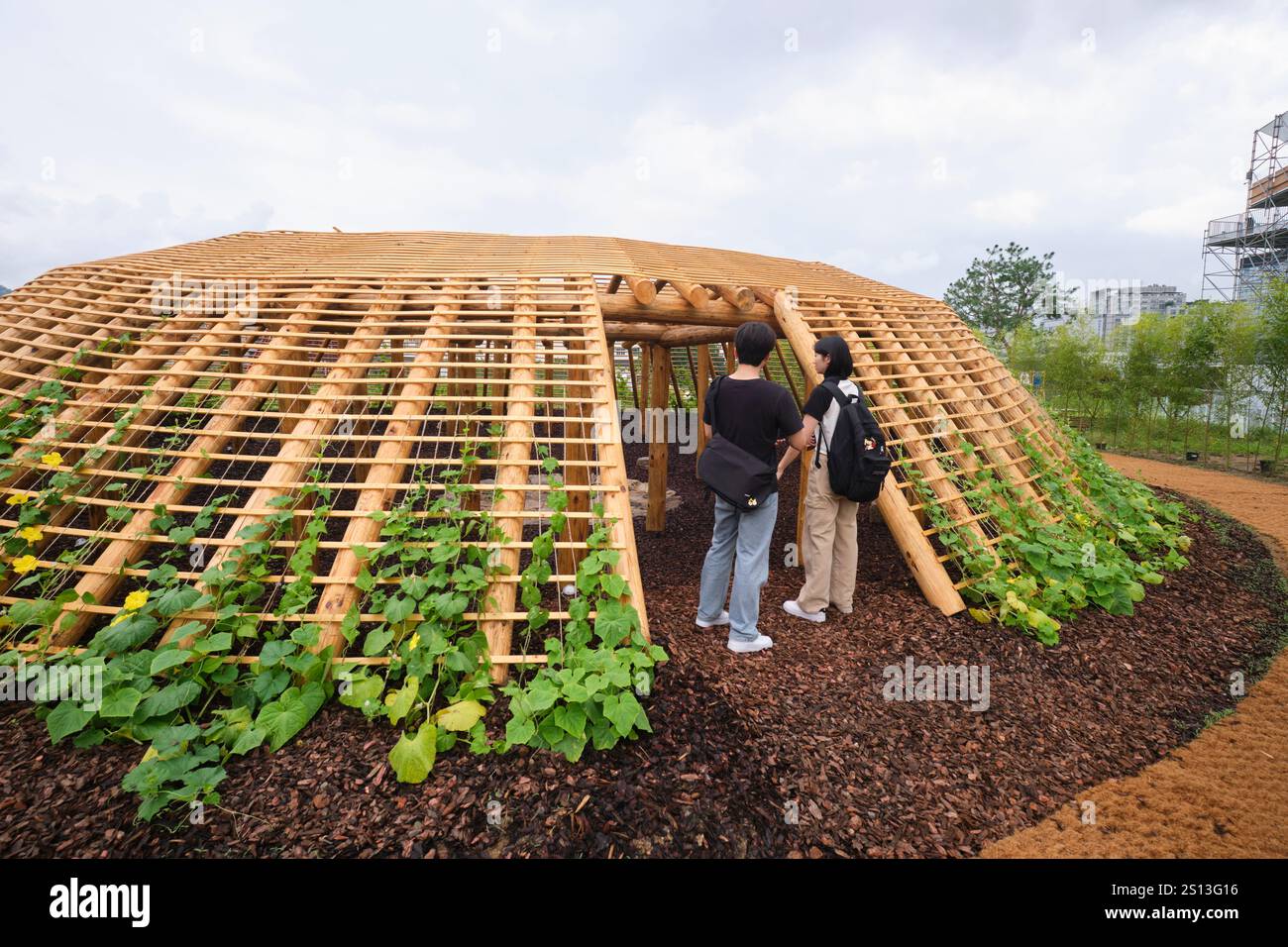 A wood, round, dome trellis structure with growing vines. At the ...