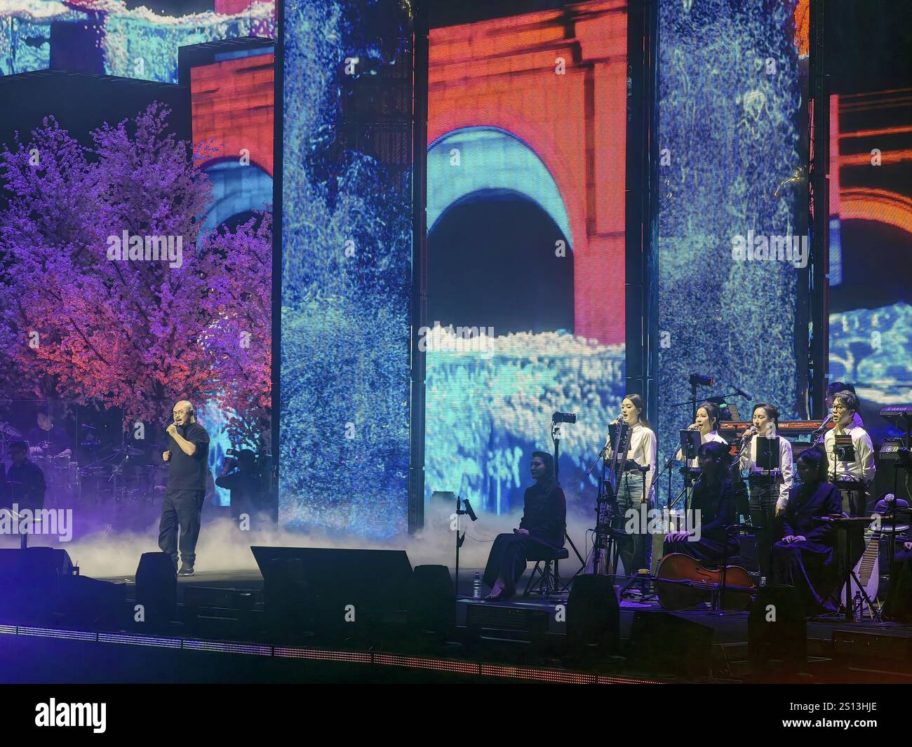 Chinese singer Dao Lang holds a concert in Beijing, China, 28 December ...