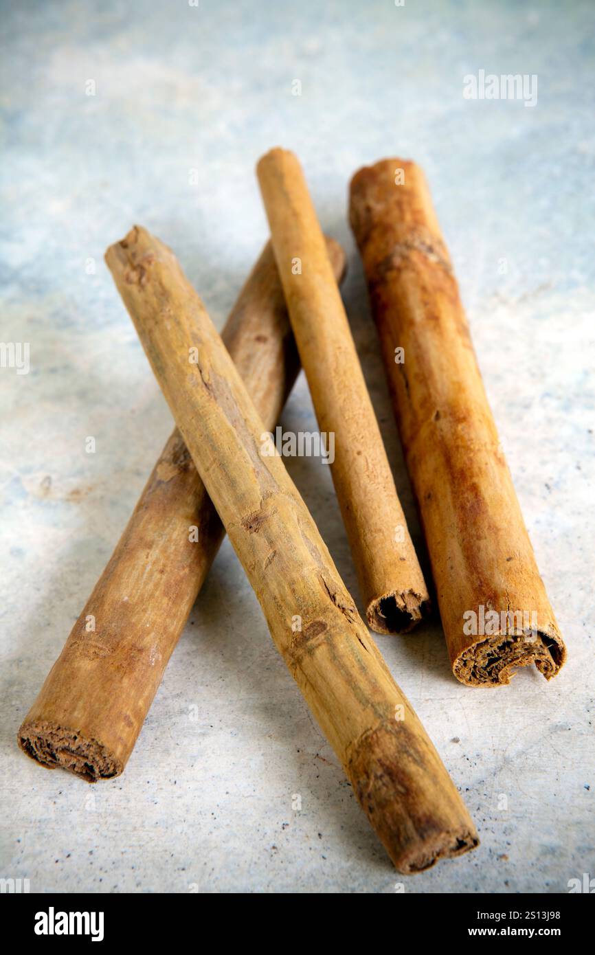 Cinnamon is a spice that comes from the dried bark of various species ...