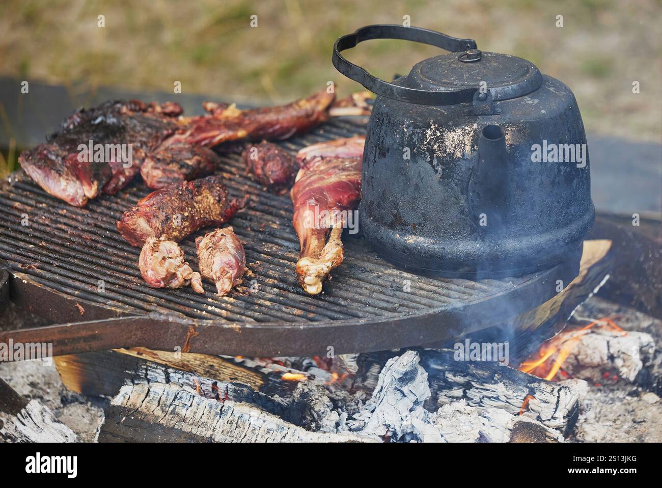 Bonfire with food at a Viking festival in Denmark Stock Photo - Alamy