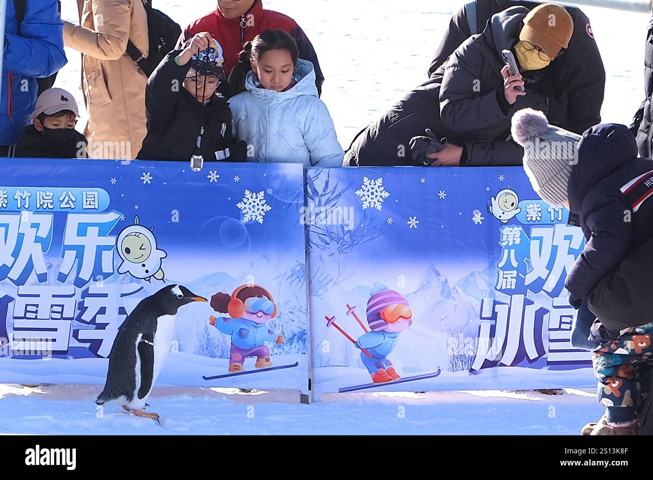 Tourists experience ice and snow sports at a park in Beijing, China, 27 ...