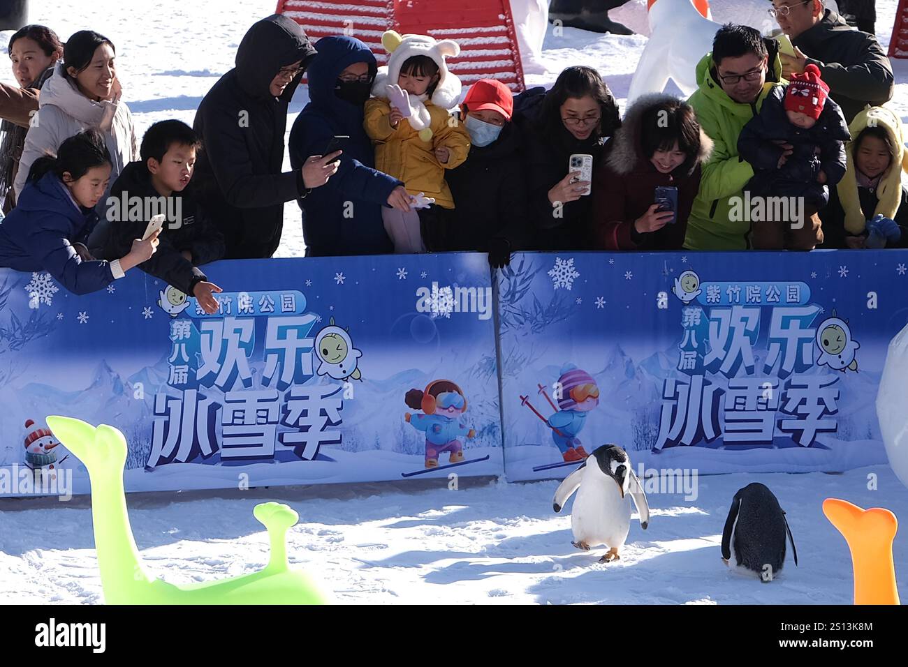 Tourists experience ice and snow sports at a park in Beijing, China, 27 ...
