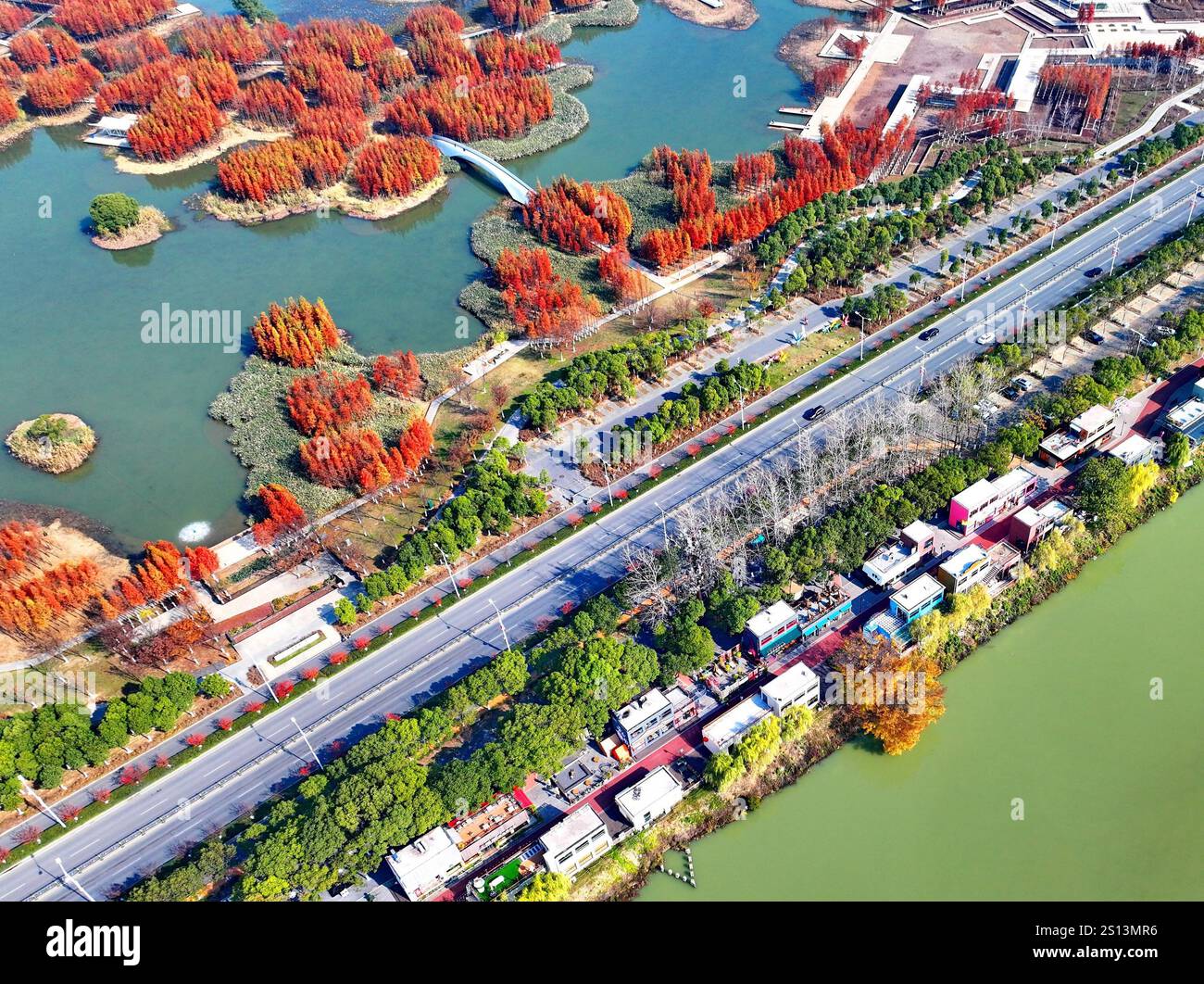 Aerial photo shows the winter scenery of a water forest at a wetland ...