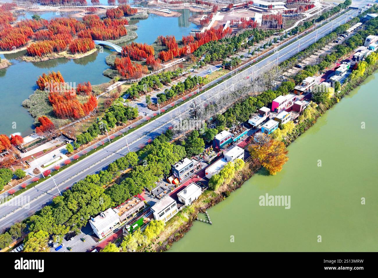 Aerial photo shows the winter scenery of a water forest at a wetland ...