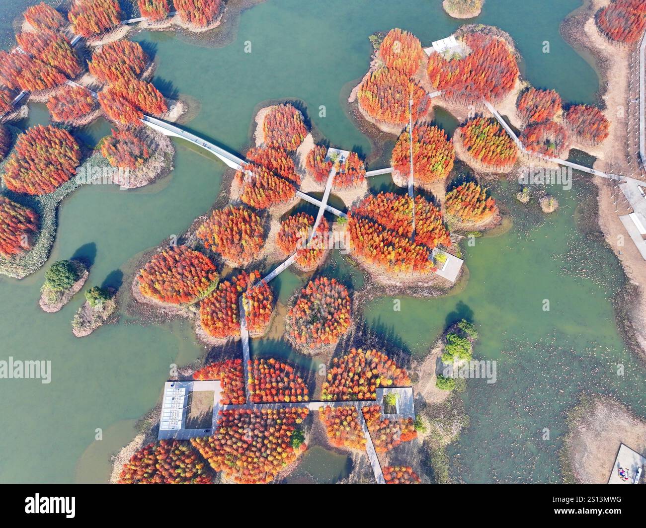 Aerial photo shows the winter scenery of a water forest at a wetland ...