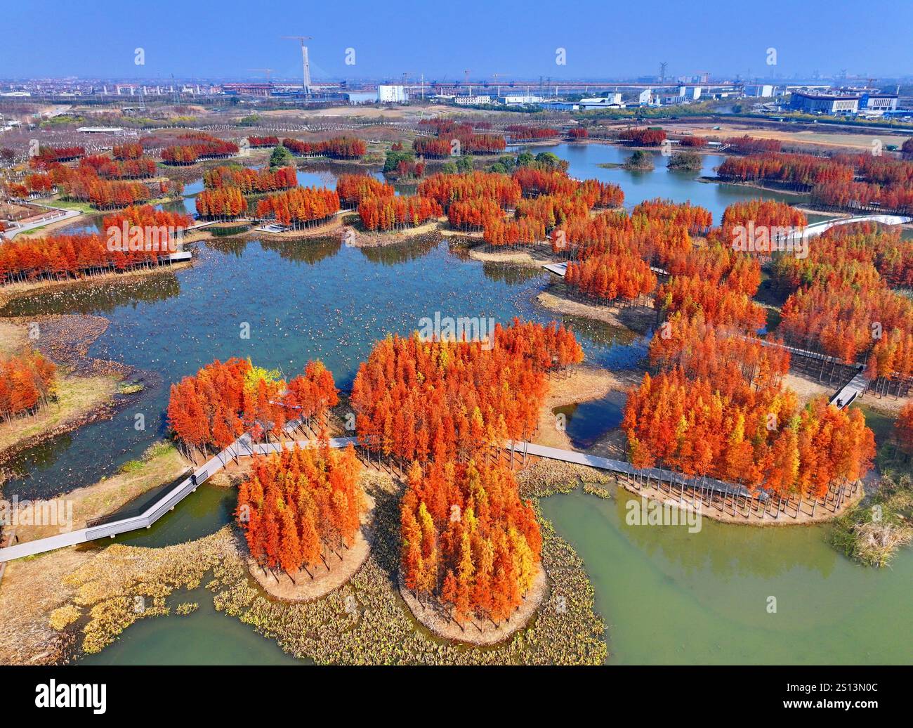 Aerial photo shows the winter scenery of a water forest at a wetland ...