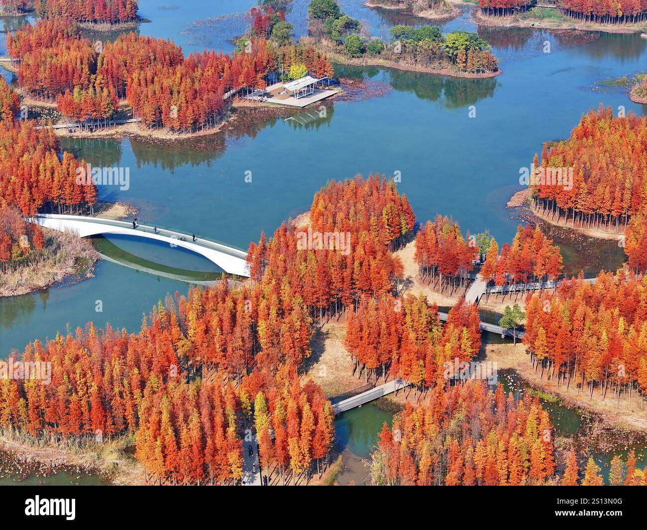 Aerial photo shows the winter scenery of a water forest at a wetland ...