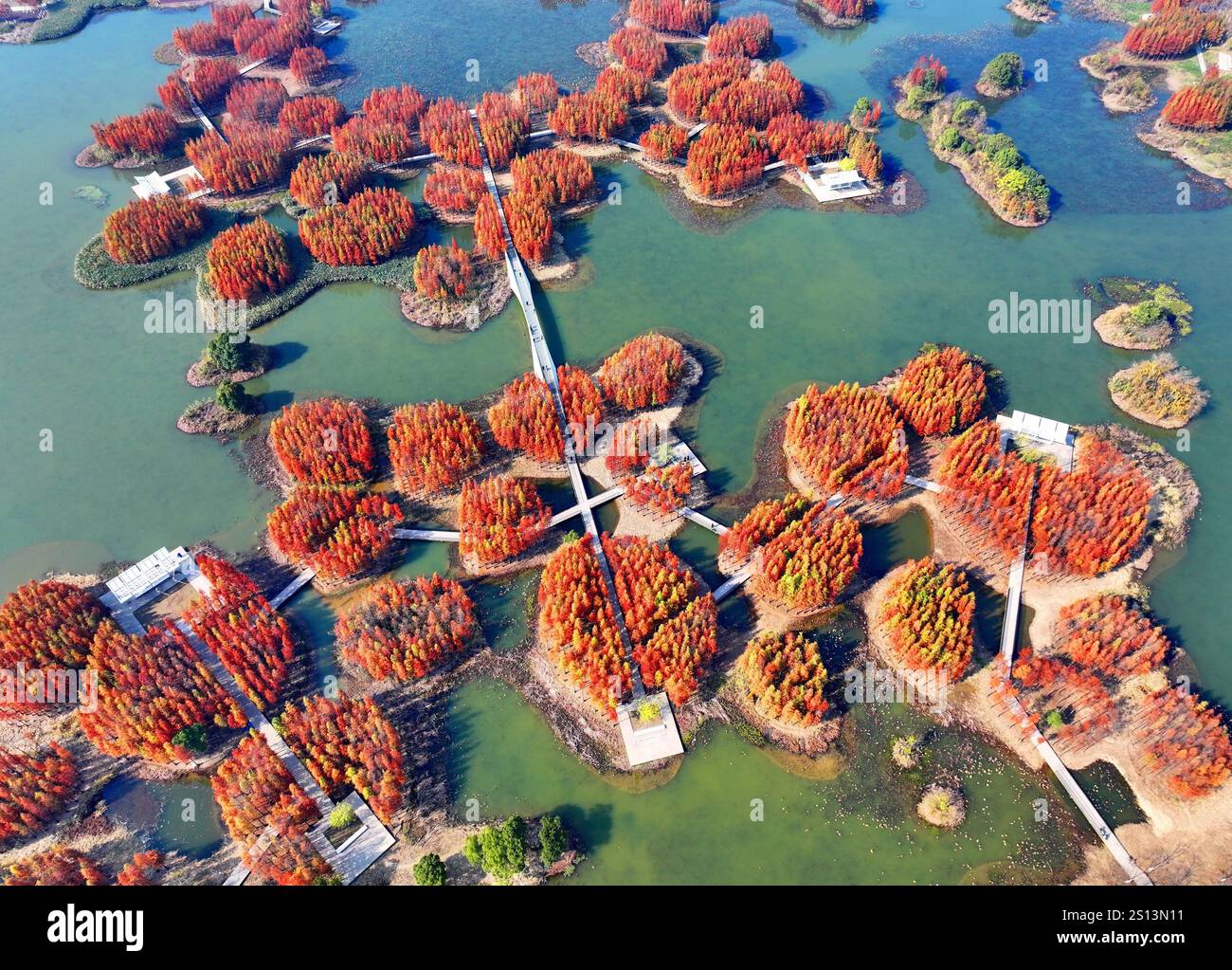 Aerial photo shows the winter scenery of a water forest at a wetland ...