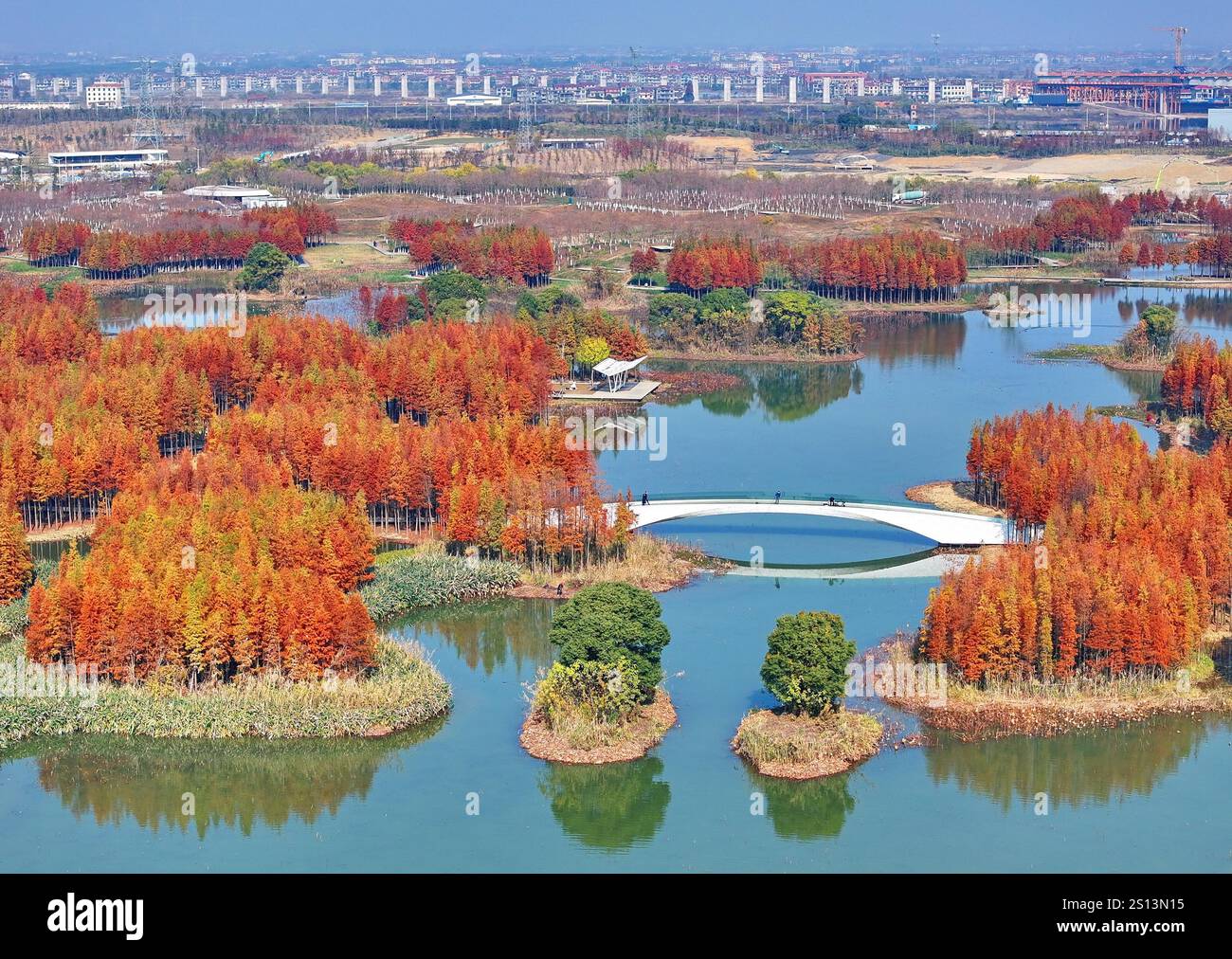 Aerial photo shows the winter scenery of a water forest at a wetland ...