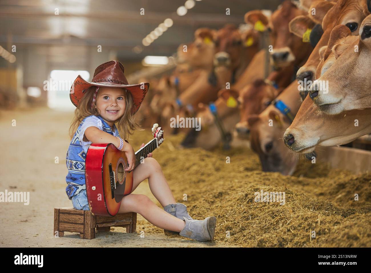 Charming child in a cowboy costume sings for cows on a farm in Denmark ...