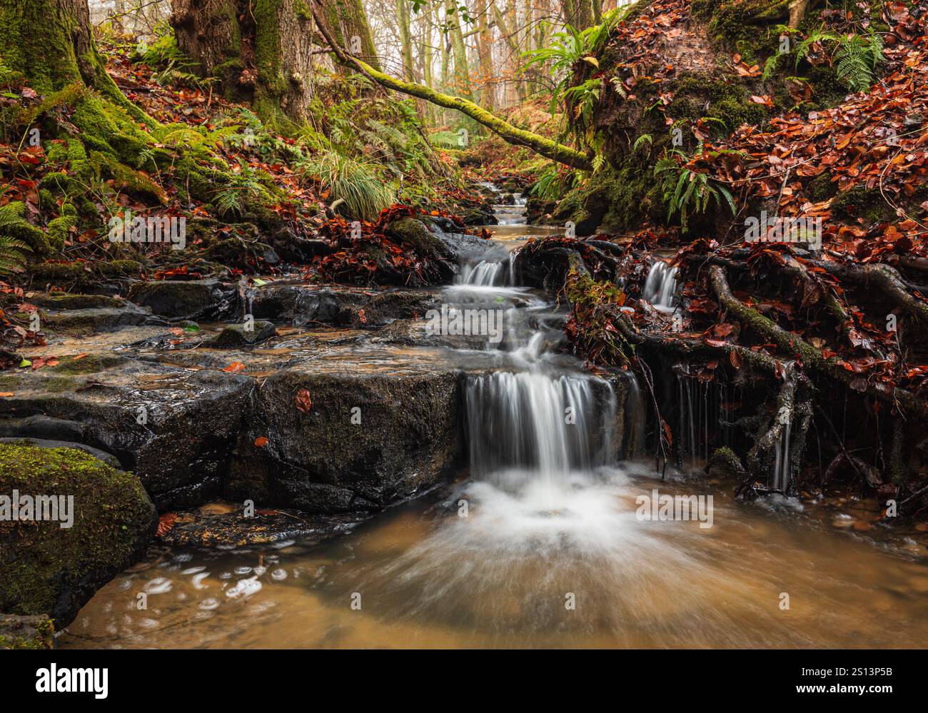 Cascading small waterfalls in Dallington forest on the high weald in ...