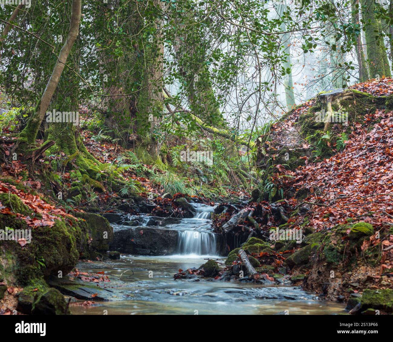 Small natural waterfalls and flowing streams through Dallington forest ...