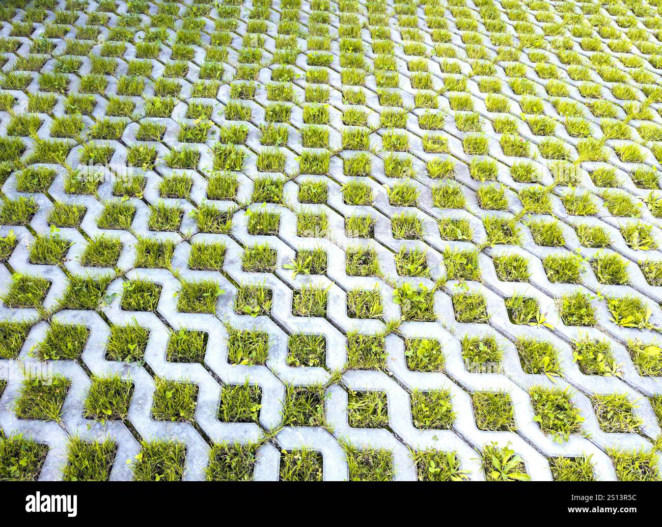 Using concrete lawn grid for landscaping Stock Photo - Alamy