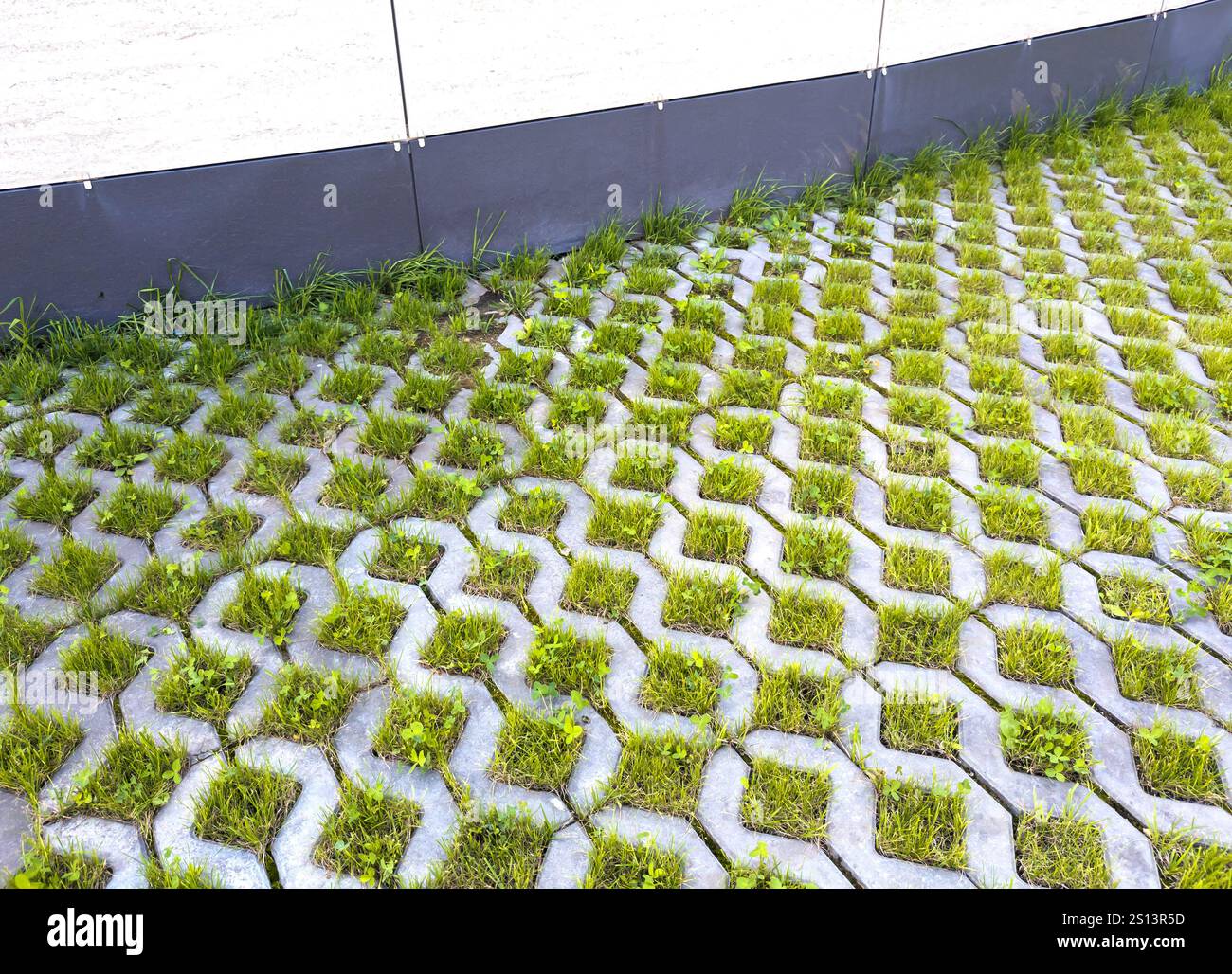 Pedestrian lawn based on concrete lawn grid Stock Photo - Alamy