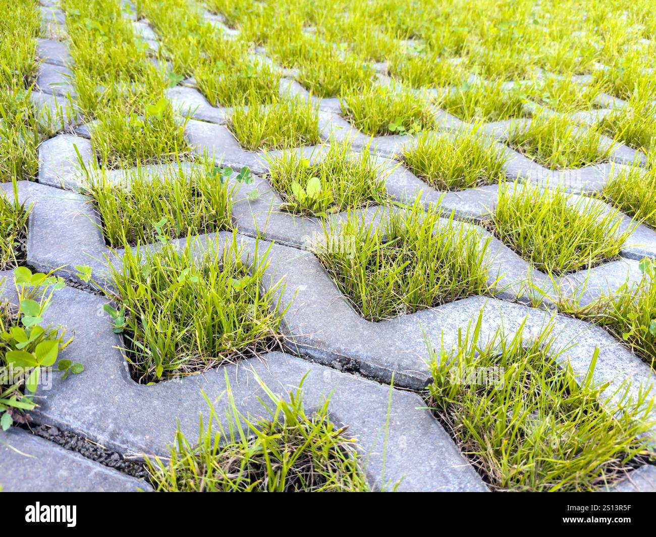 Grass in the cells of a concrete lawn grid Stock Photo - Alamy