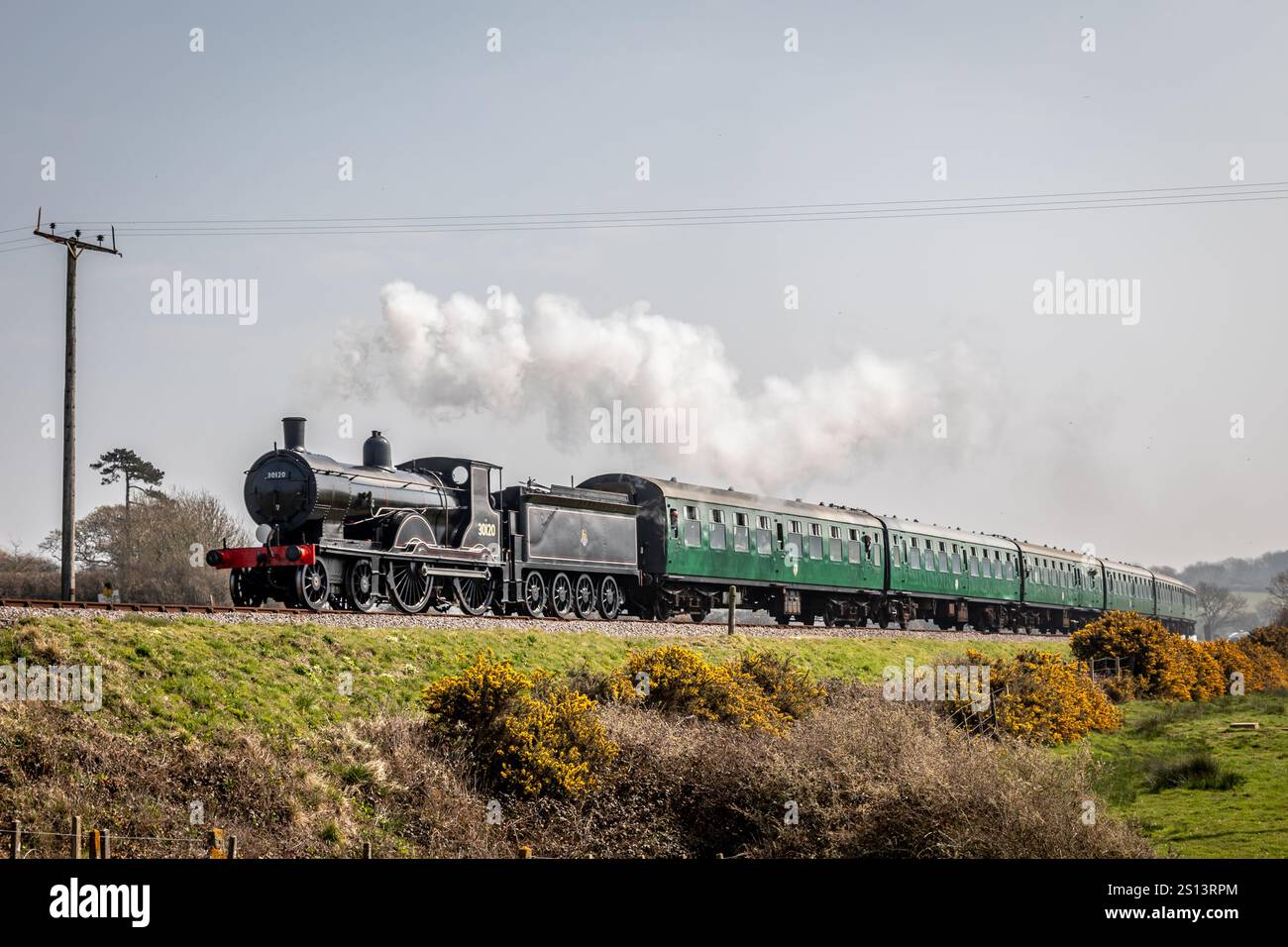 BR 'T9' 4-4-0 No. 30120, Afflington, Dorset, England, UK Stock Photo - Alamy