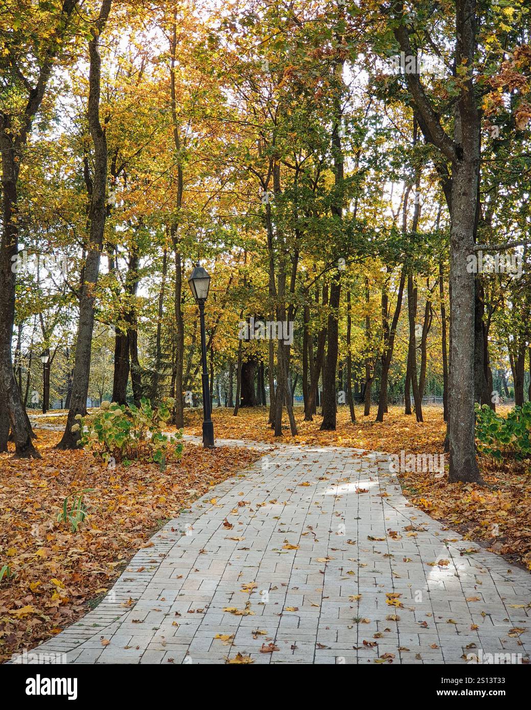 Autumn in a park. October afternoon in a park - beams of light among ...