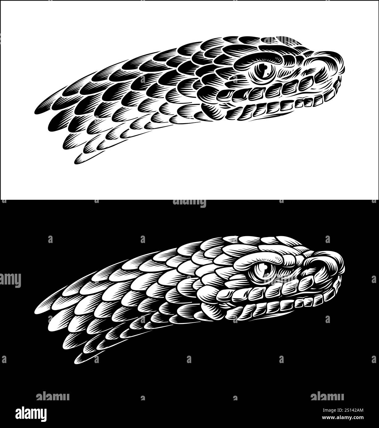 Snake Head Woodcut Vintage Etched Woodcut Style Stock Vector Image ...