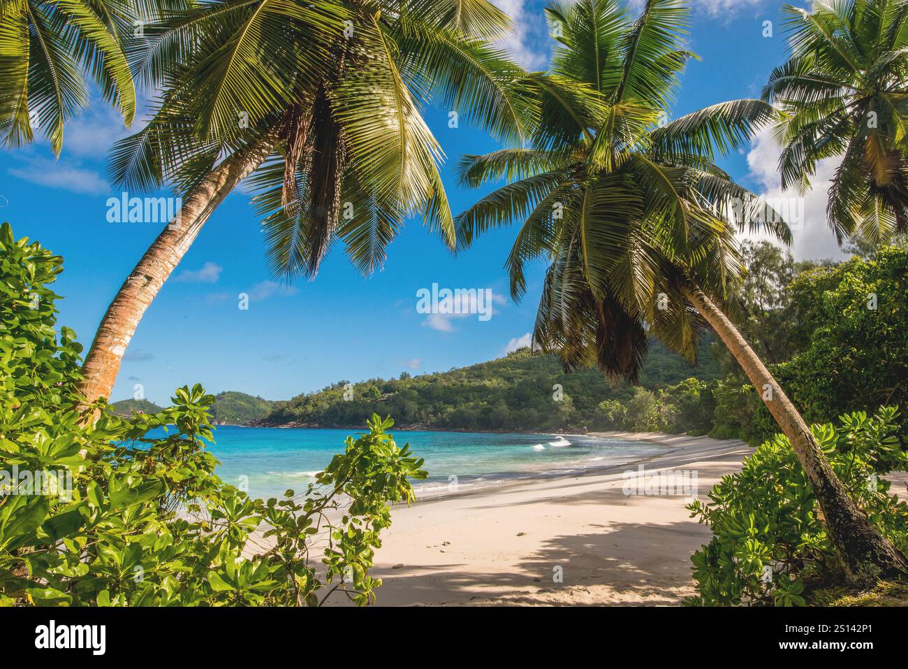 Petit Police Bay Beach, Seychelles, Mahe Stock Photo - Alamy