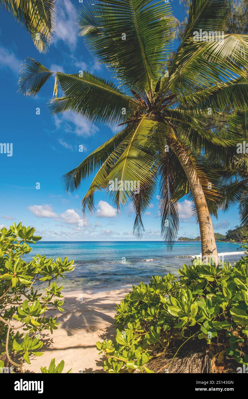 Petit Police Bay Beach, Seychelles, Mahe Stock Photo - Alamy