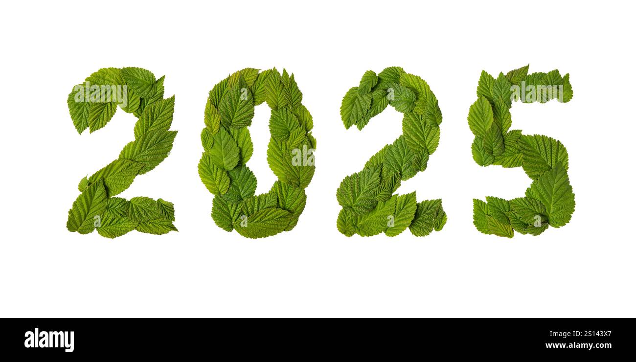 Green leaves in the shape of numbers 2025 isolated on a white ...