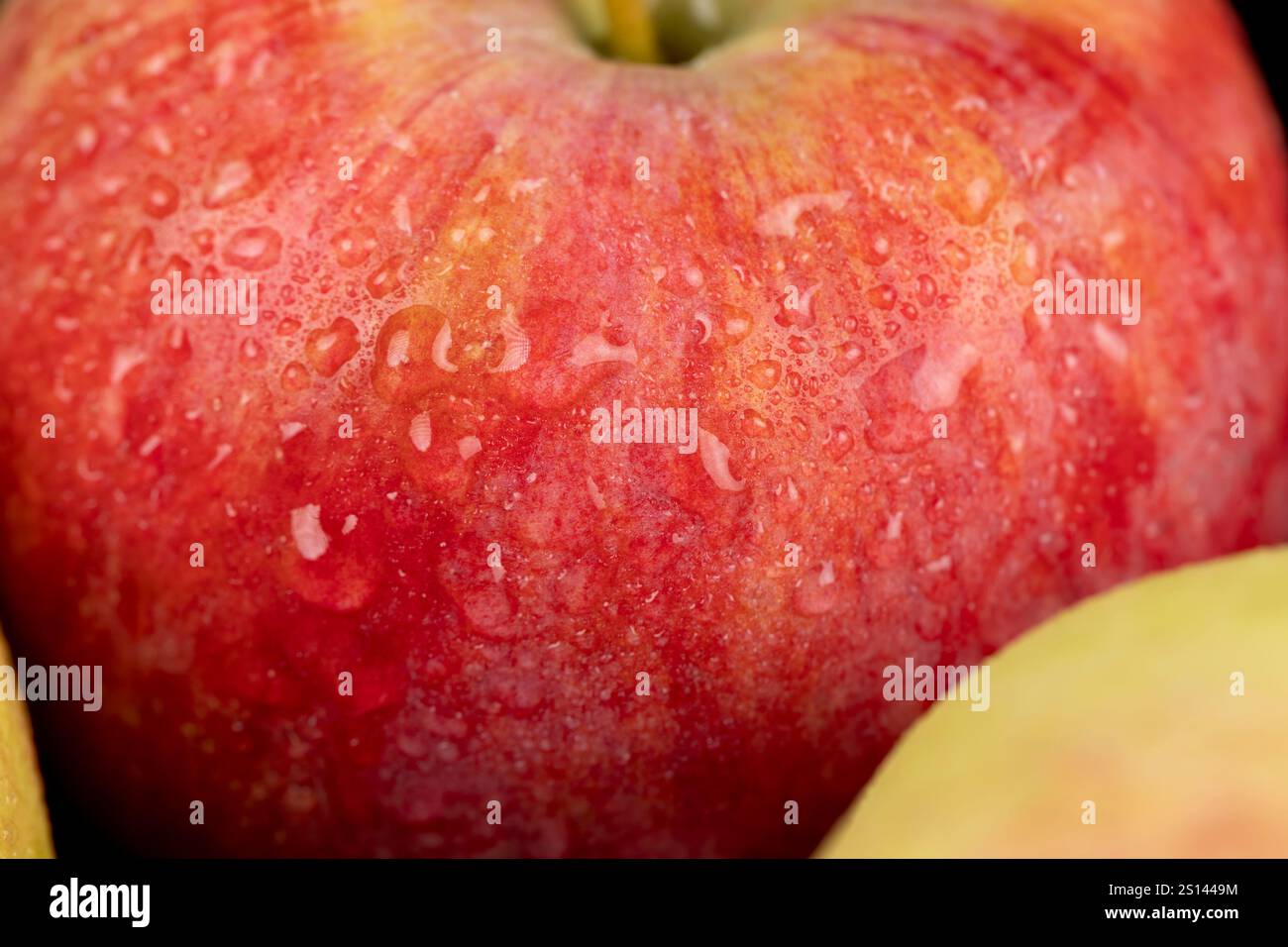 wet apple with red peel , side view, sweet freshly picked apple in ...