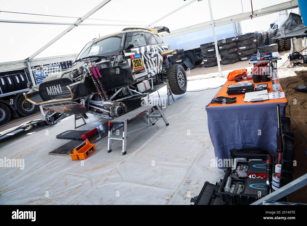 202 CHICHERIT Guerlain (fra), WINOCQ Alex (fra), Mini, X-Raid Mini JCW ...
