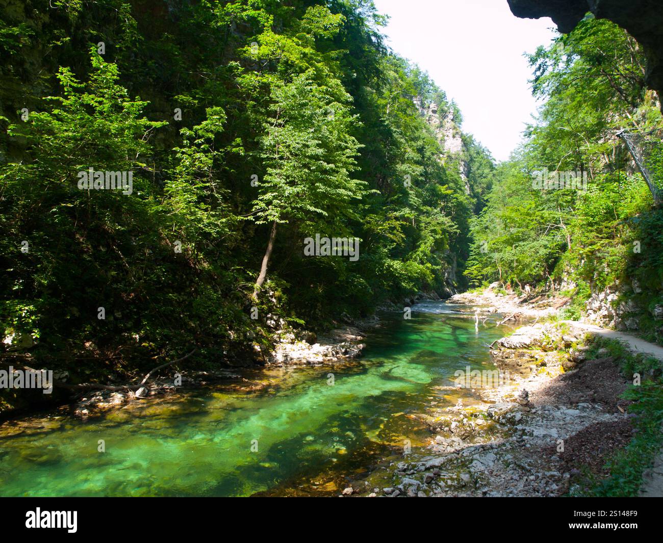 Pure blue water of Radovna river in Vintgar Gorge. Natural waterfalls ...