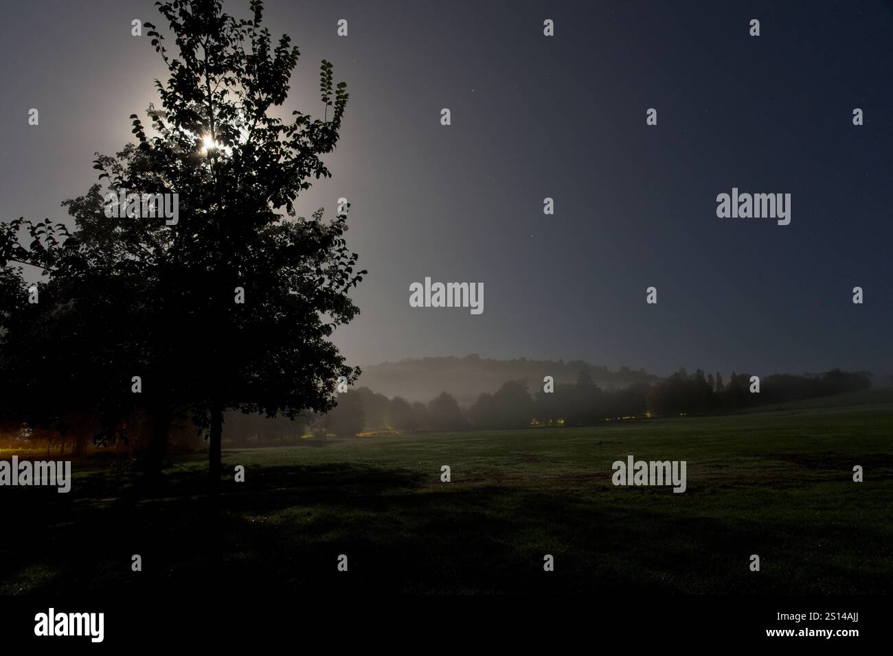 Tree moon mist hi-res stock photography and images - Alamy