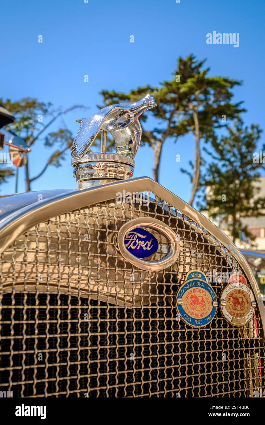 Lisbon, Portugal - Sep 29, 2024: Close-up and selective focus of flying ...