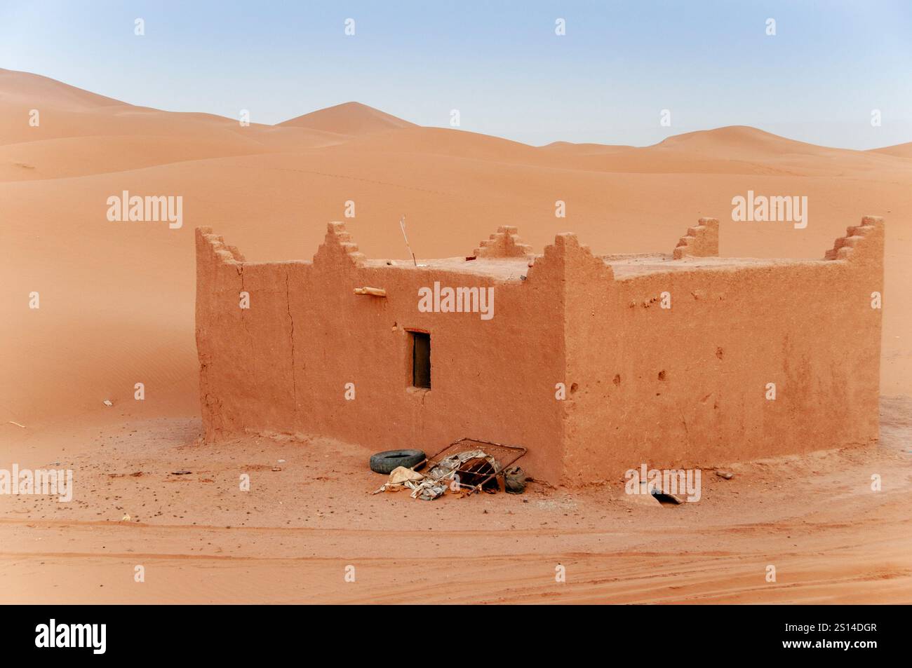 Acacia morroco hi-res stock photography and images - Alamy