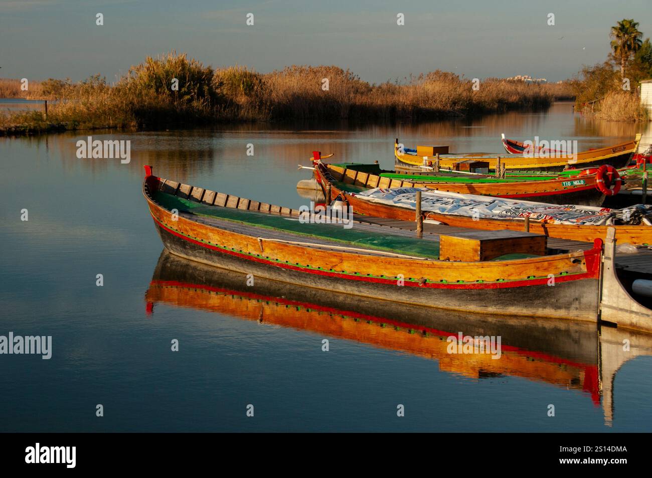 Albufera Nature Park in Valencia. Spain Stock Photo - Alamy