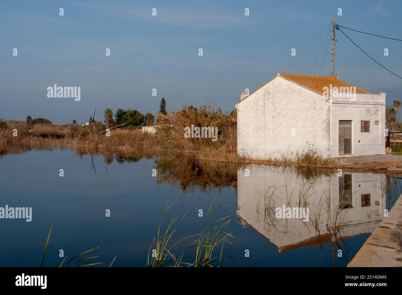 Albufera nature reserve in hi-res stock photography and images - Alamy
