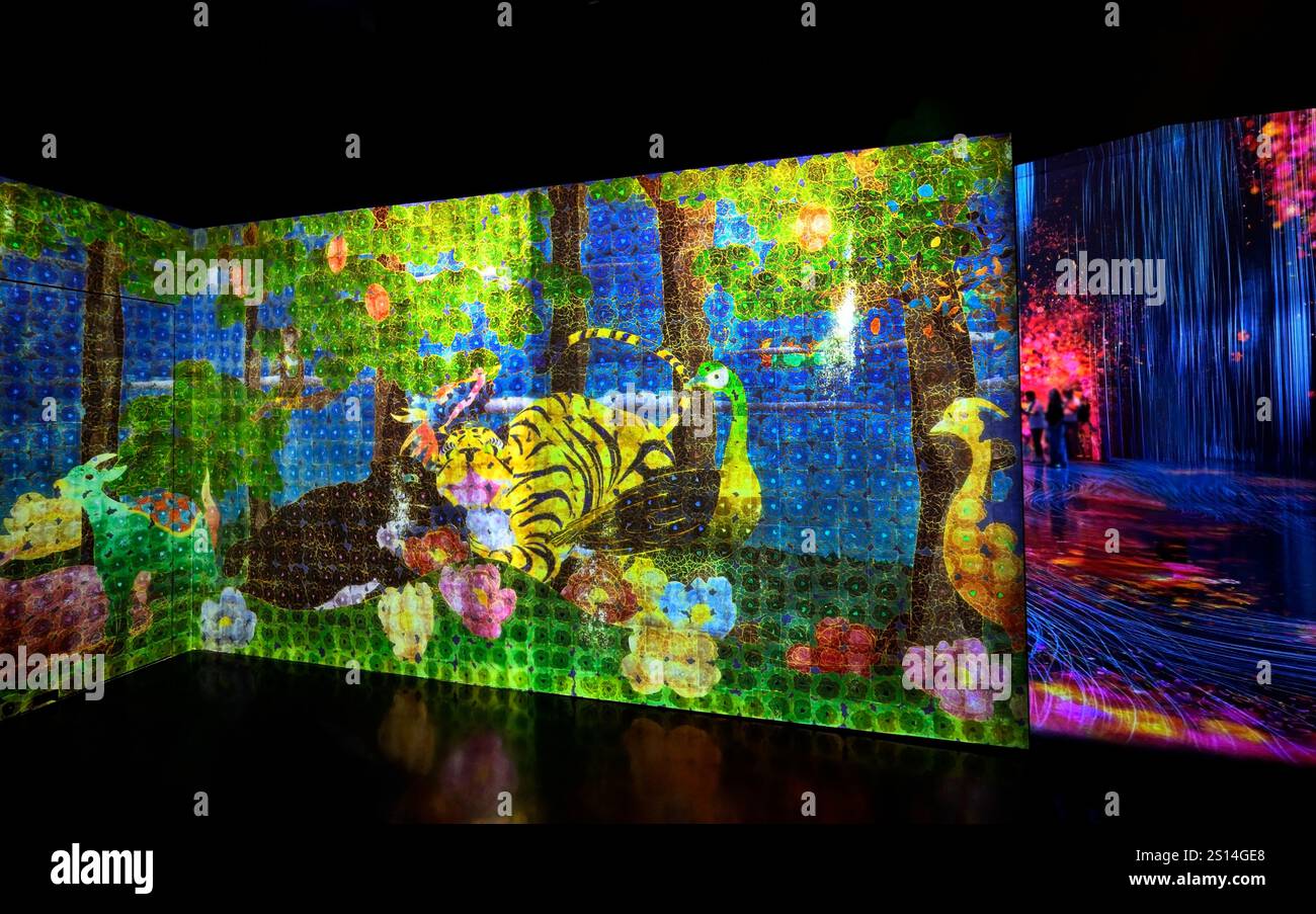 TeamLab Planets Tokyo Japan Stock Photo - Alamy