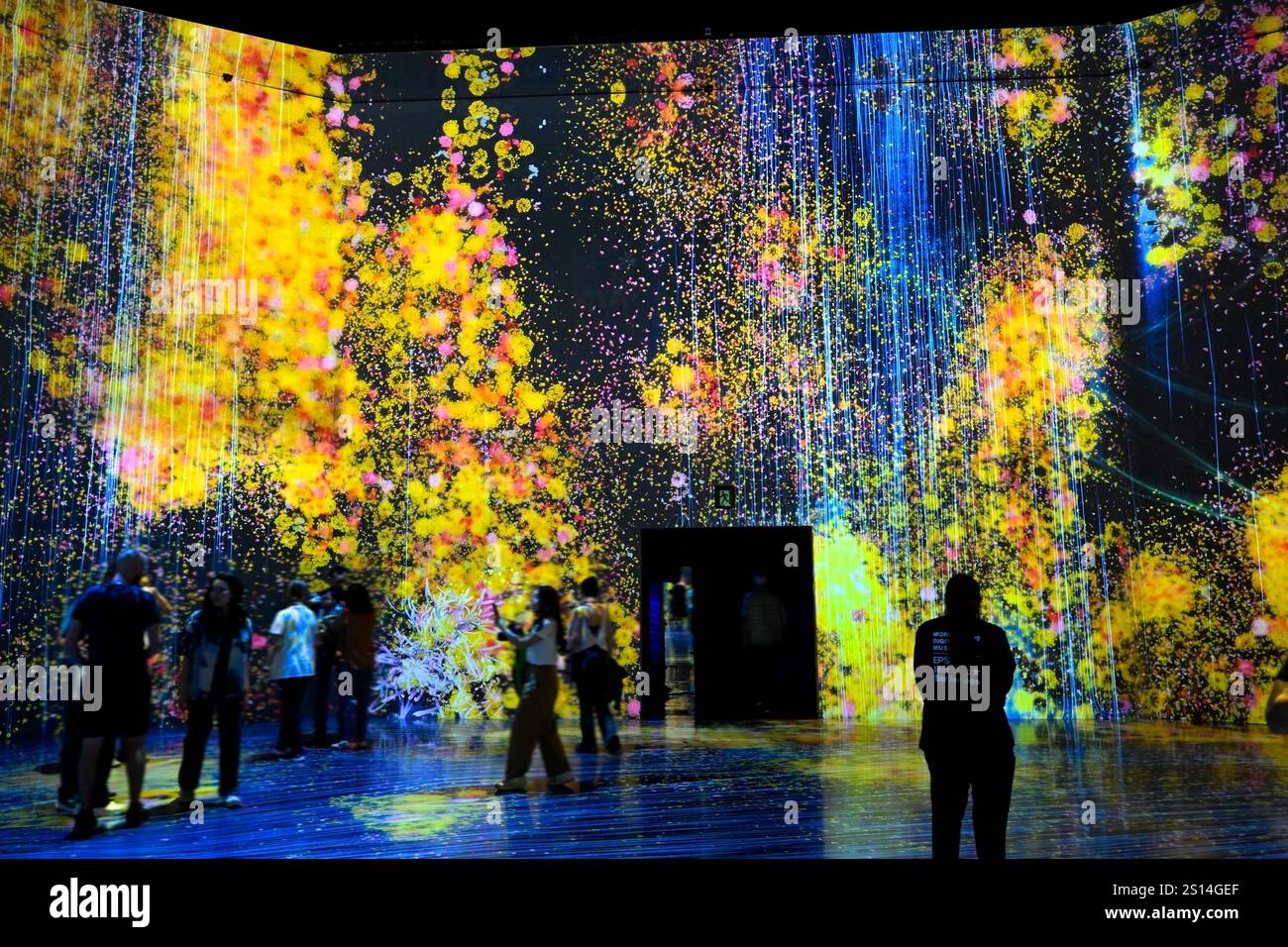 TeamLab Planets Tokyo Japan Stock Photo - Alamy