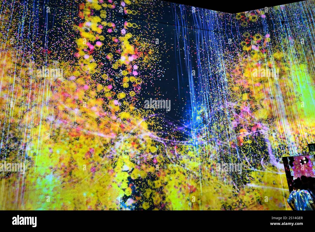 TeamLab Planets Tokyo Japan Stock Photo - Alamy