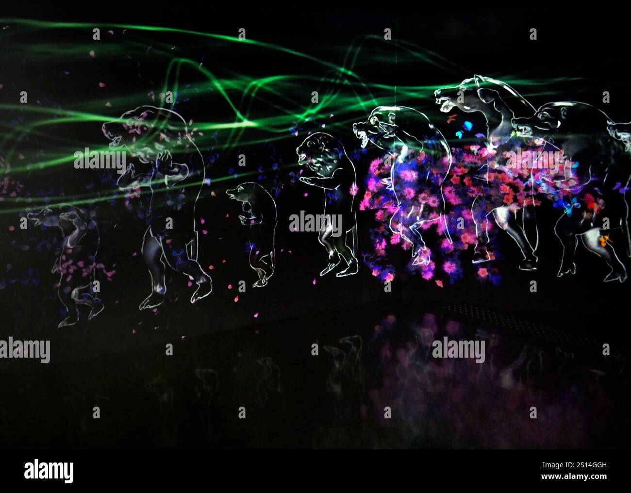 TeamLab Planets Tokyo Japan Stock Photo - Alamy