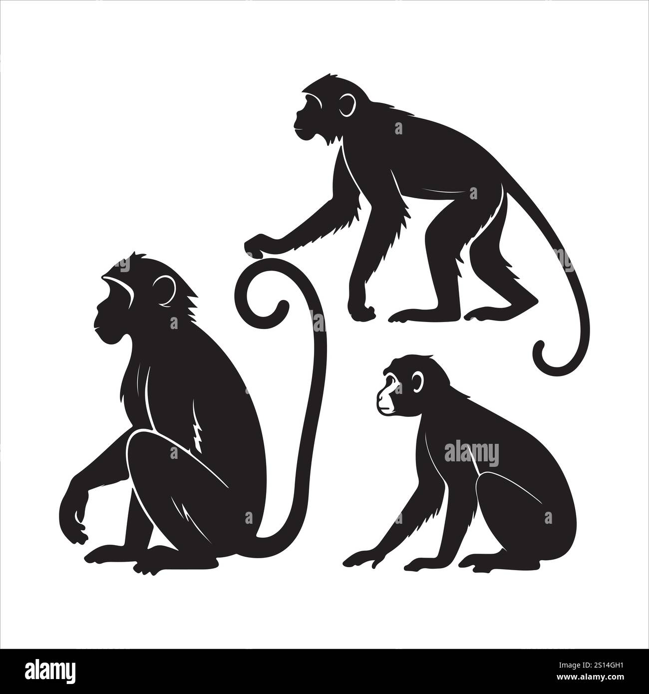 monkeys silhouette vector illustration eps 10 high-quality fully editable file on a white ...
