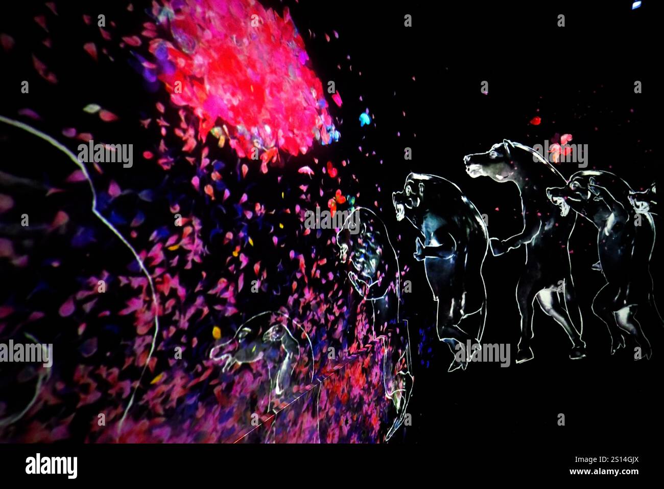 TeamLab Planets Tokyo Japan Stock Photo - Alamy