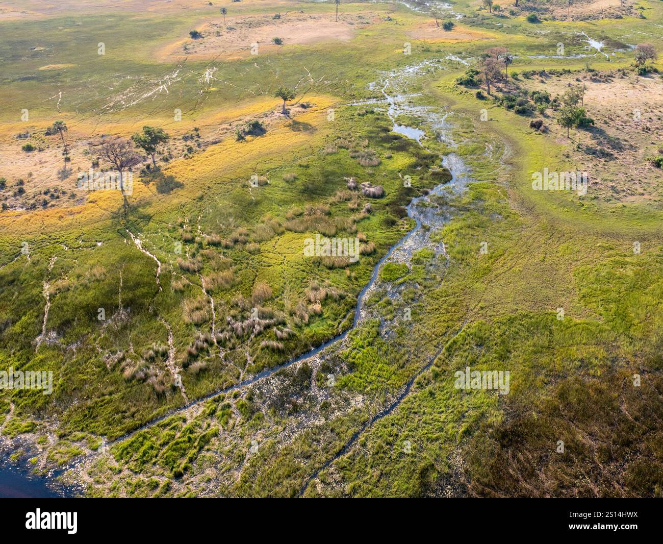Landscape in Botswana. Flight from Maun to the Okavango Delta by ...
