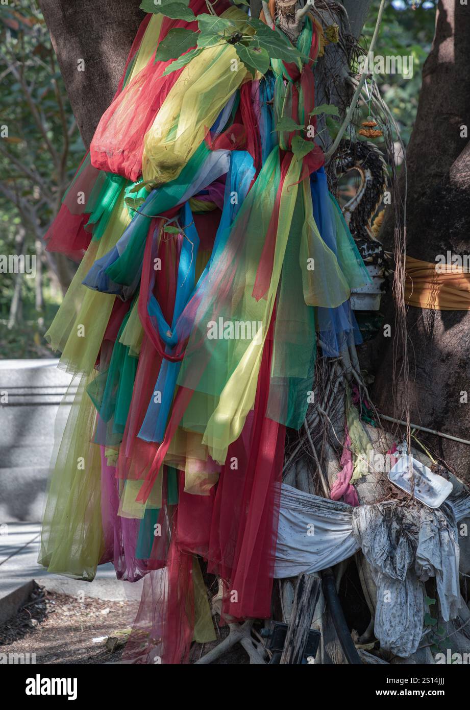 Various multicolored ribbons are tied wrapped around holy the massive ...