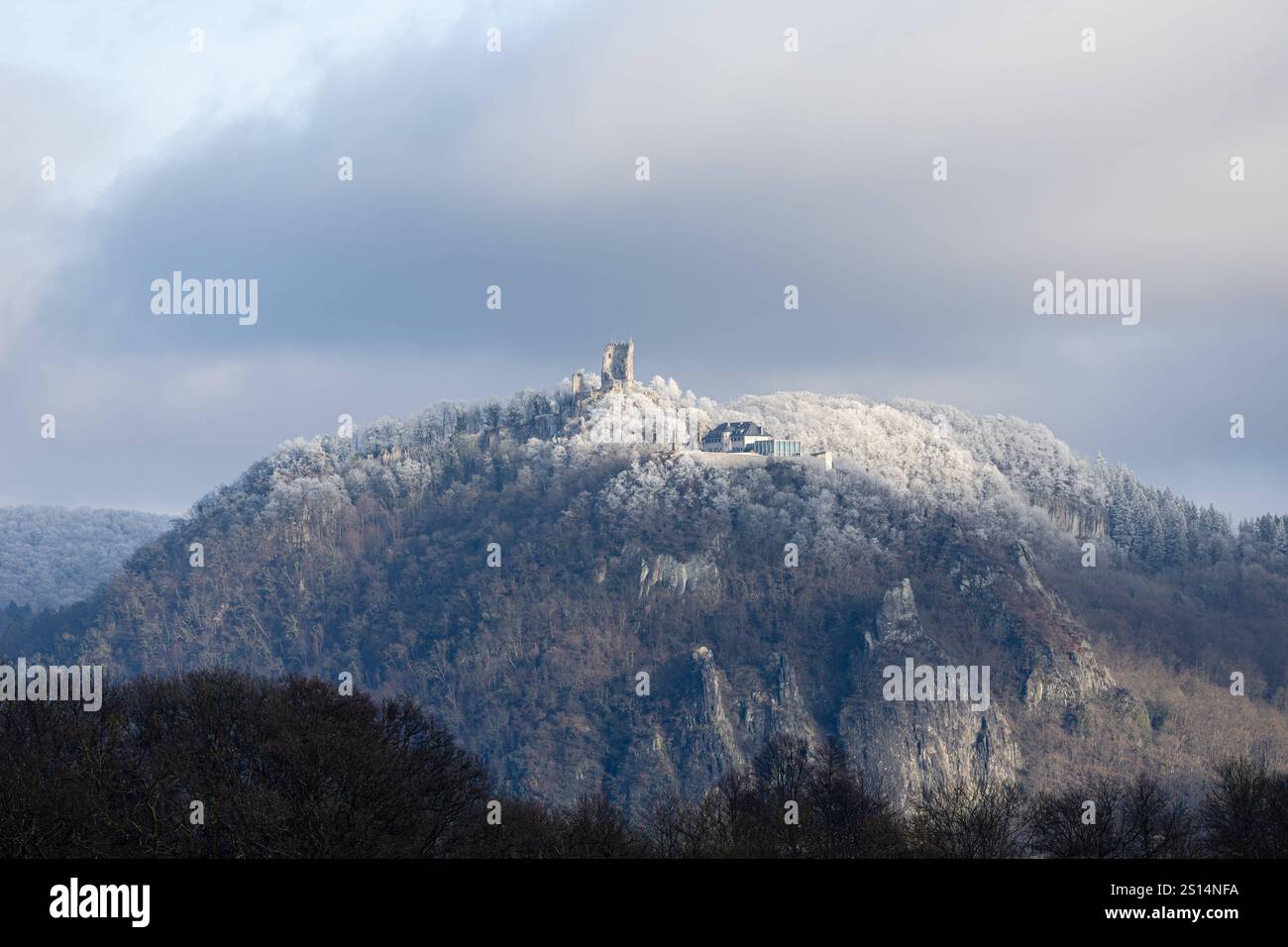 Rodderberg am Silvestertag 31.12.2024 Rundgang auf dem Rodderberg, ein ...