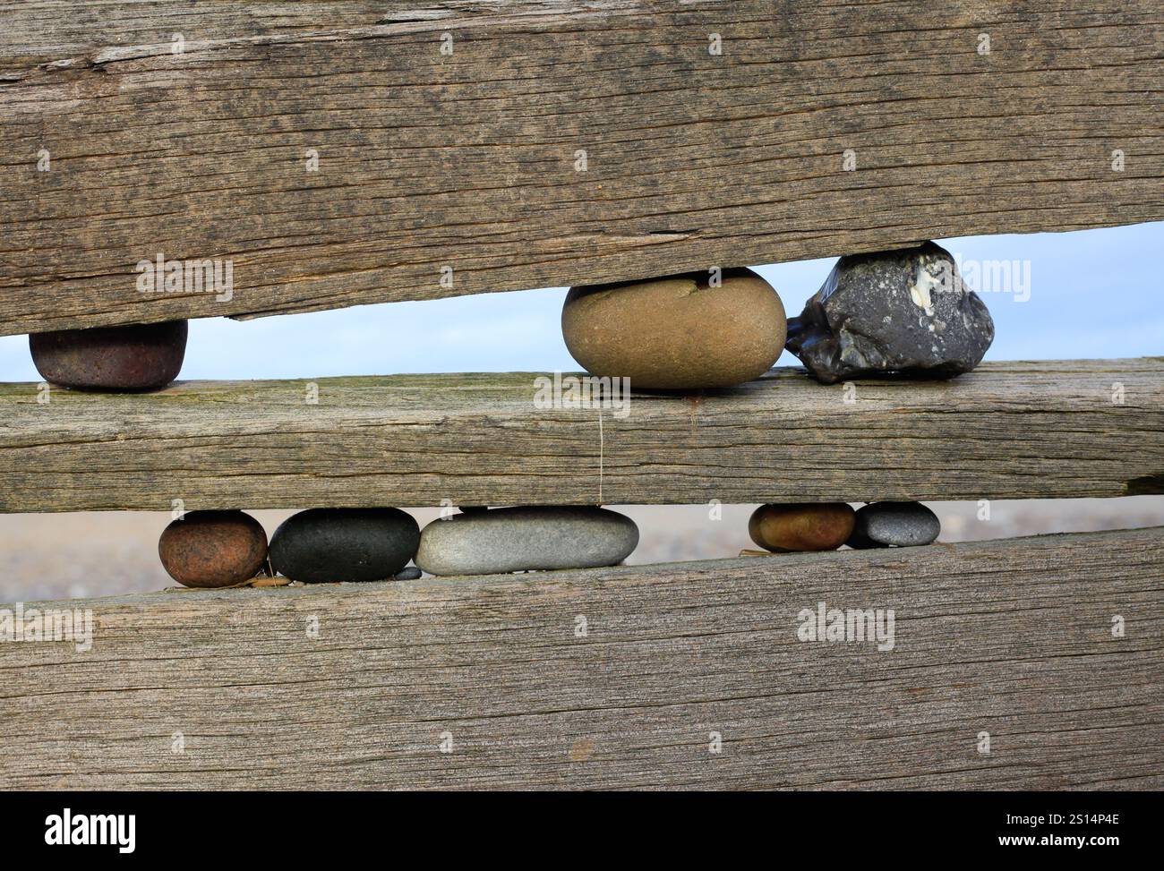 Pebbles stuck in wooden groynes sea defences Hornsea beach, East ...