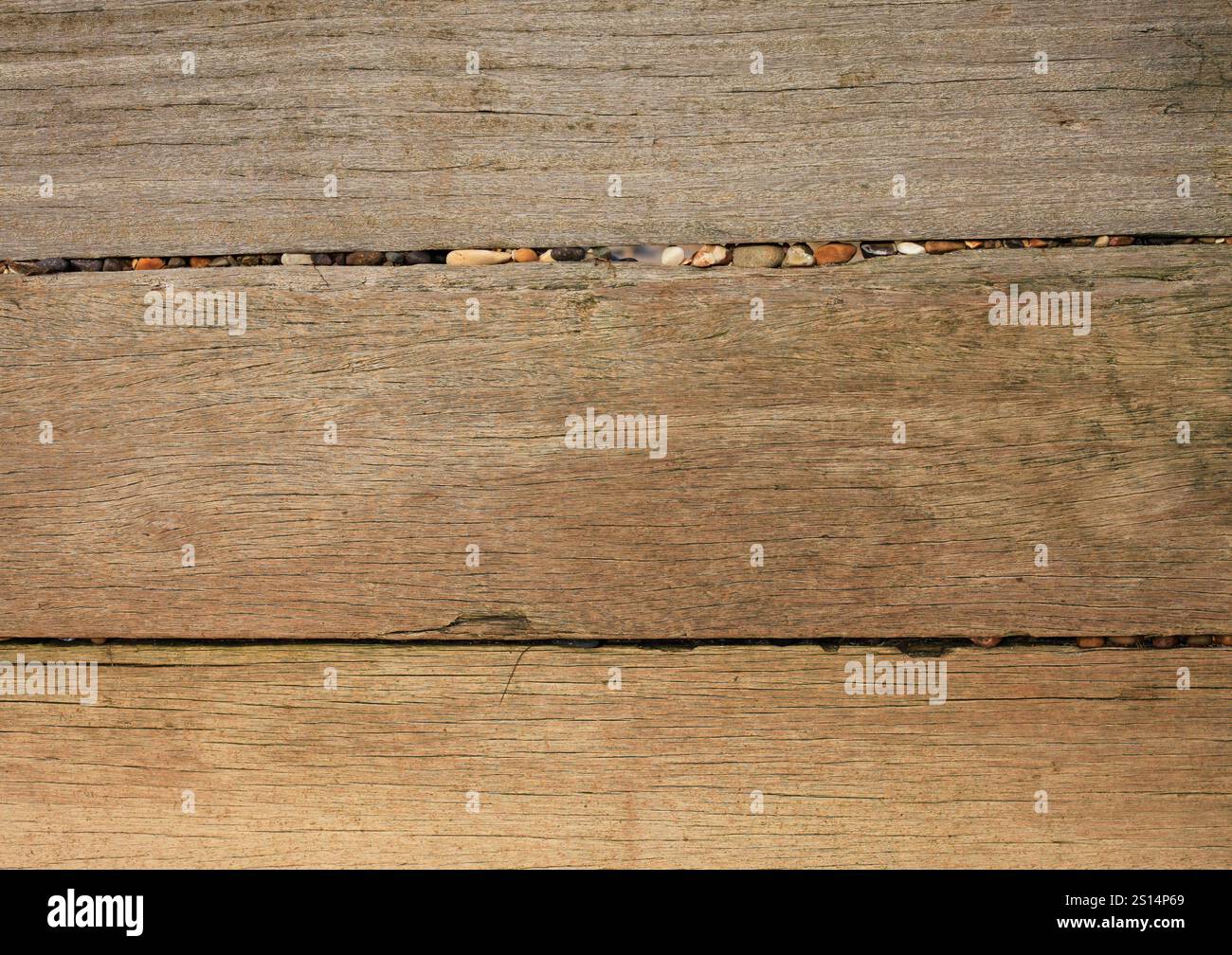 Pebbles stuck in wooden groynes sea defences Hornsea beach, East ...