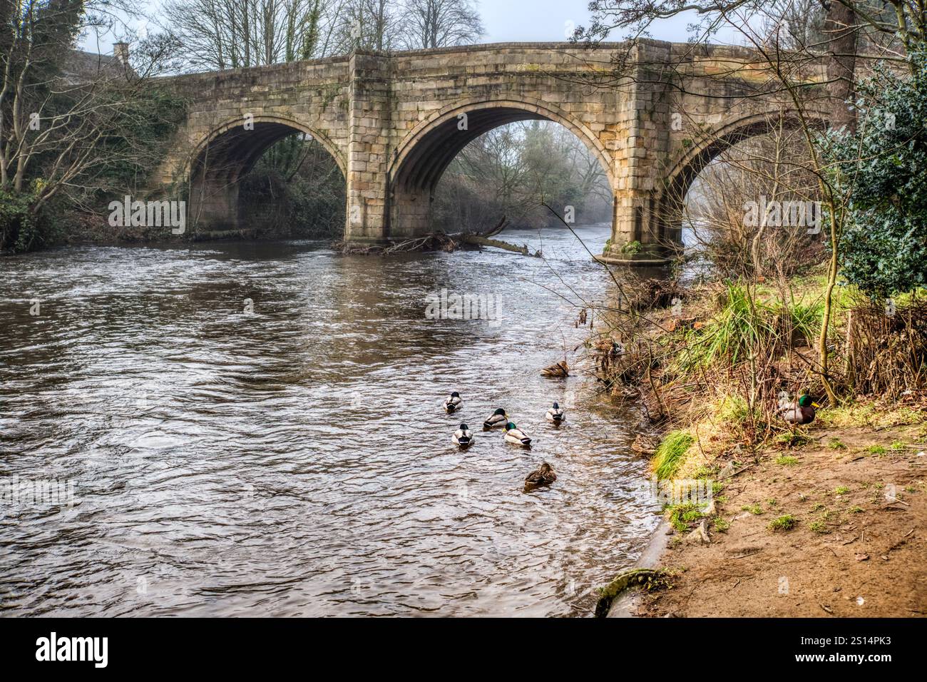 Ducks on the water. Old 17th Cenury stone bridge crossing the River ...