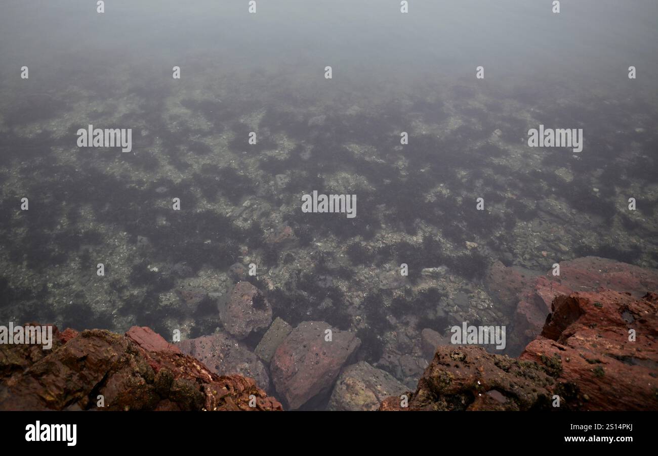 Harbour, Brixham, Devon, UK. 26th Dec 2024. Looking down over the ...