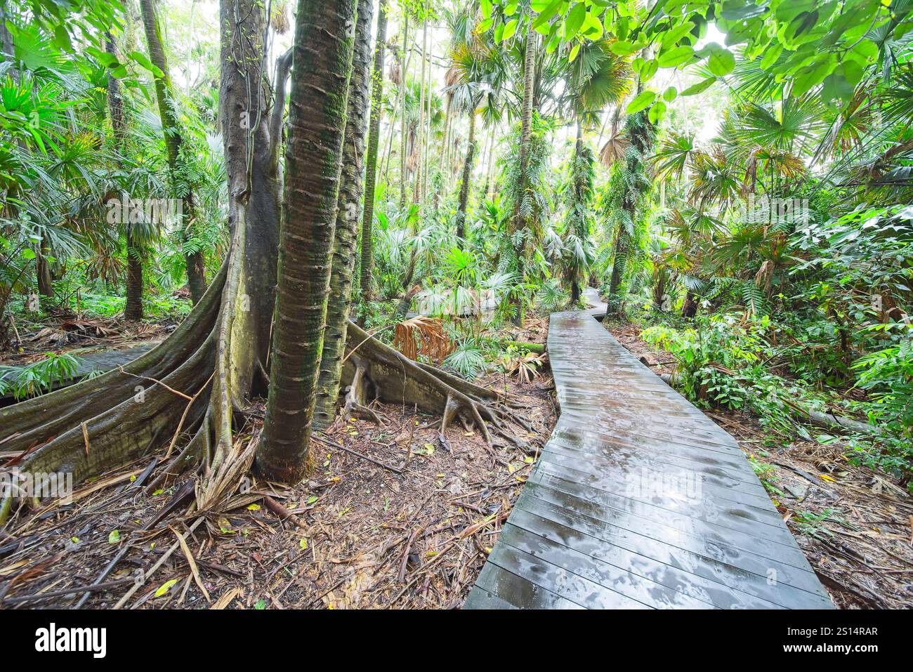 Wat Kham Chanot, a beautiful temple in north east thailand, province ...